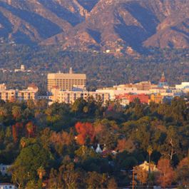 Amplify Your Impact: Coaching Collaborative Teams in PLCs at Work® Workshop